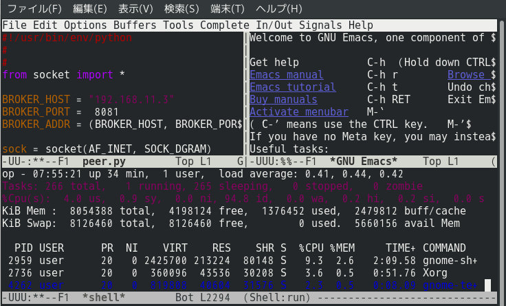Linux初心者にもオススメのエディタ(CUI編)大容量のファイルも超快適に開ける!